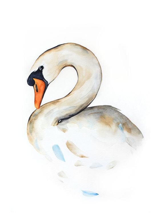 Tetování Labuť - VeAn Czech