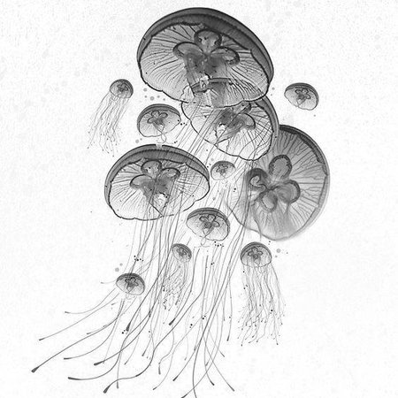 Tetování medúza - VeAn Czech