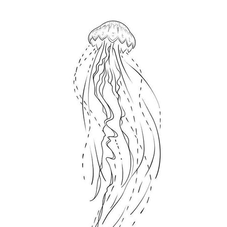 Tetování medúza - VeAn Czech