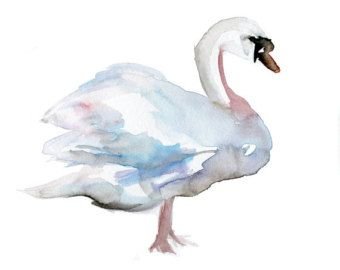 Tetování Labuť - VeAn Czech