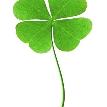 Tetování jetel - VeAn Czech