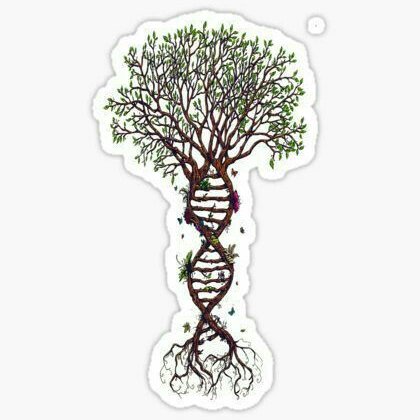 Tetování DNA - VeAn Czech