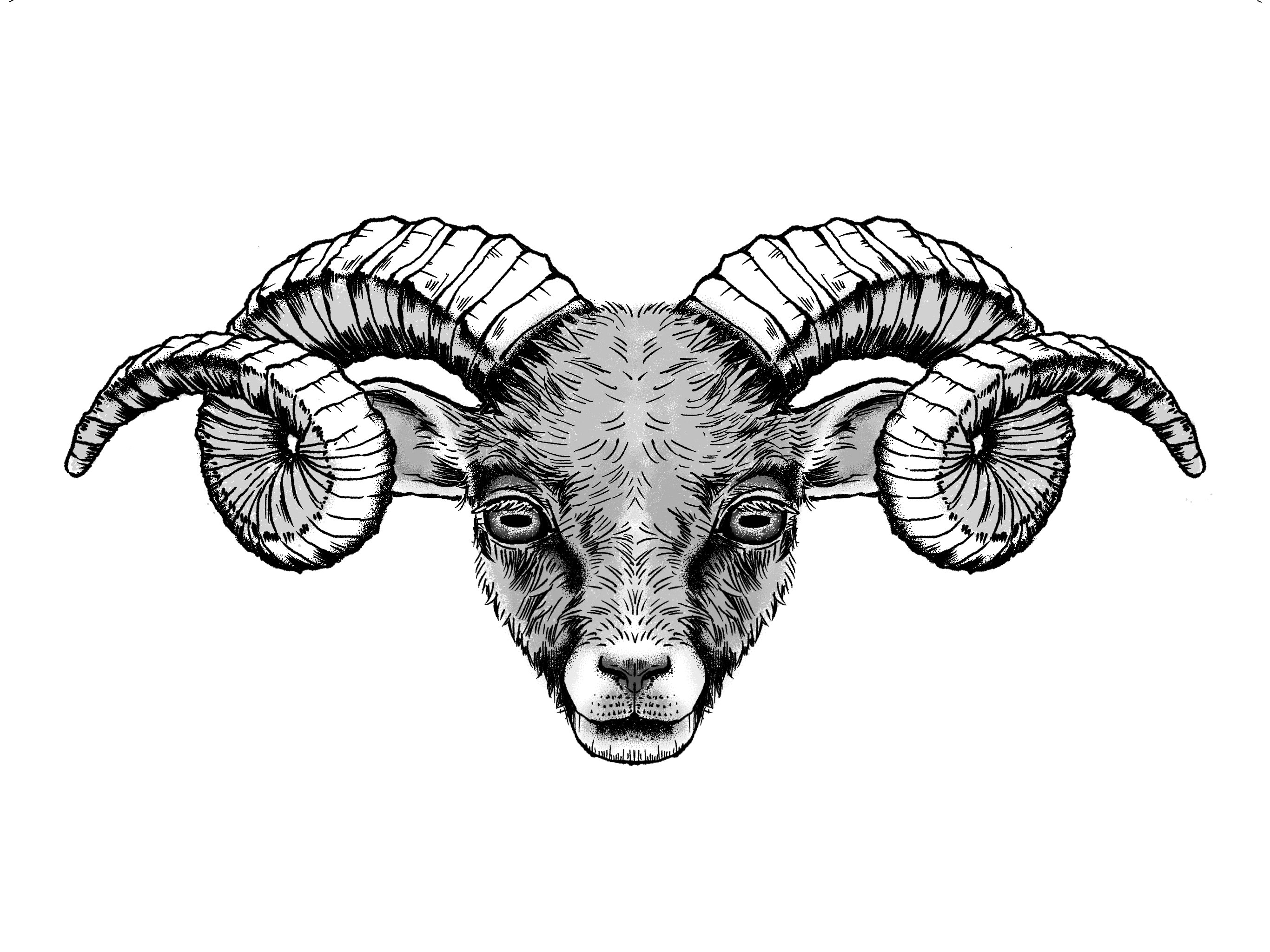 Tetování Beran - VeAn Czech