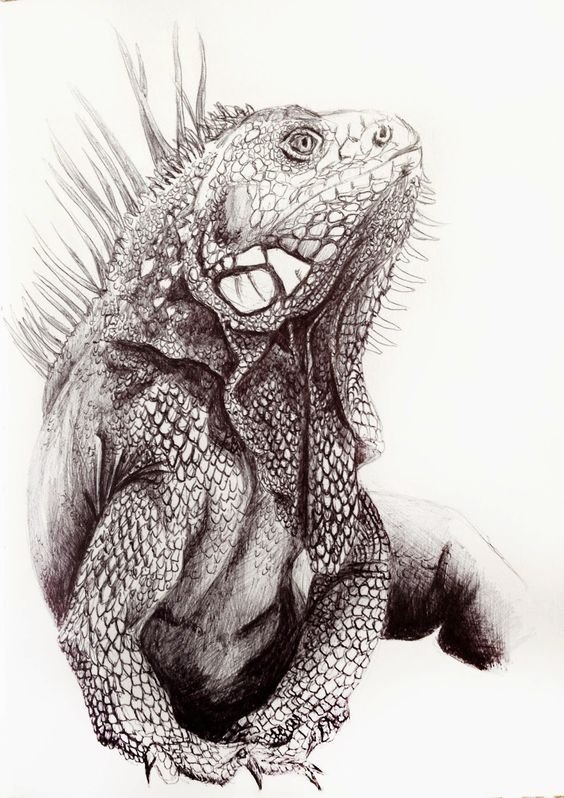 Tetování leguána - VeAn Czech