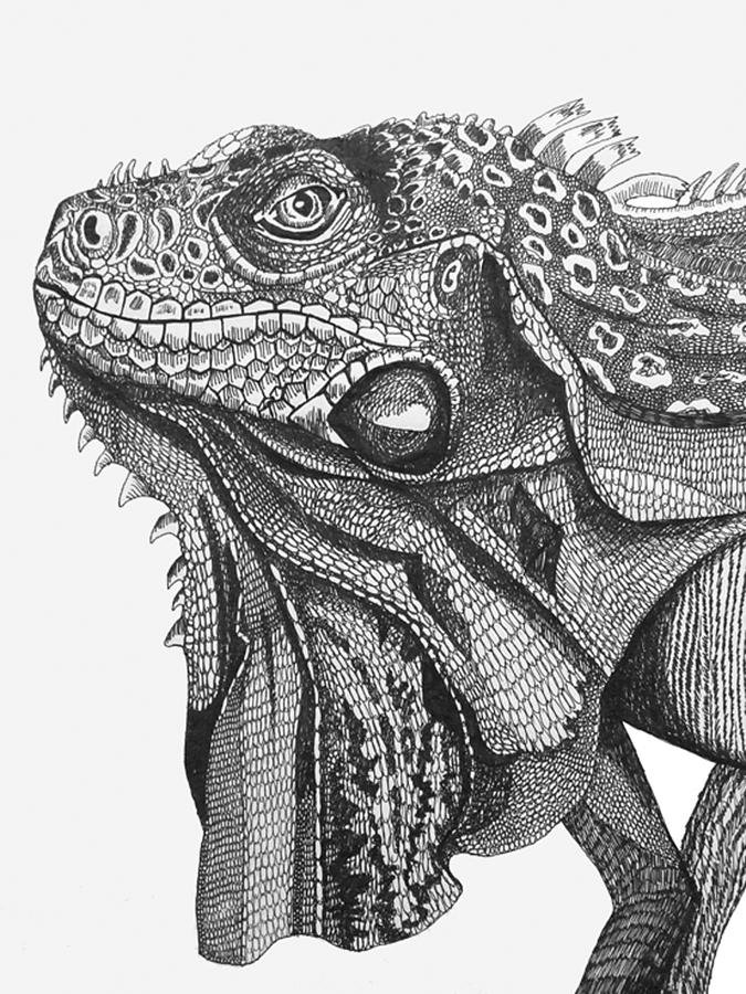 Tetování leguána - VeAn Czech