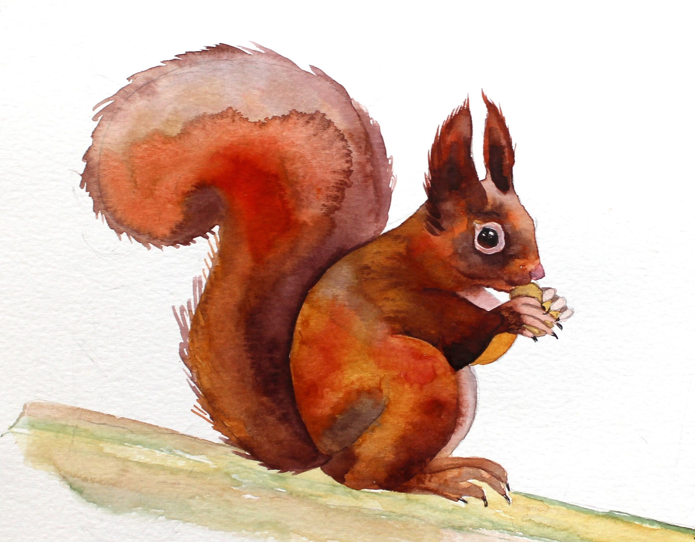 Tetování veverka - VeAn Czech