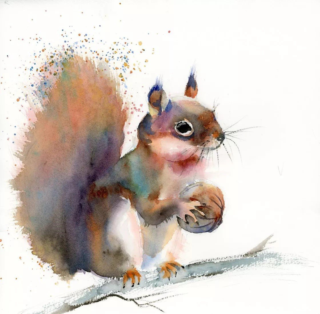 Tetování veverka - VeAn Czech