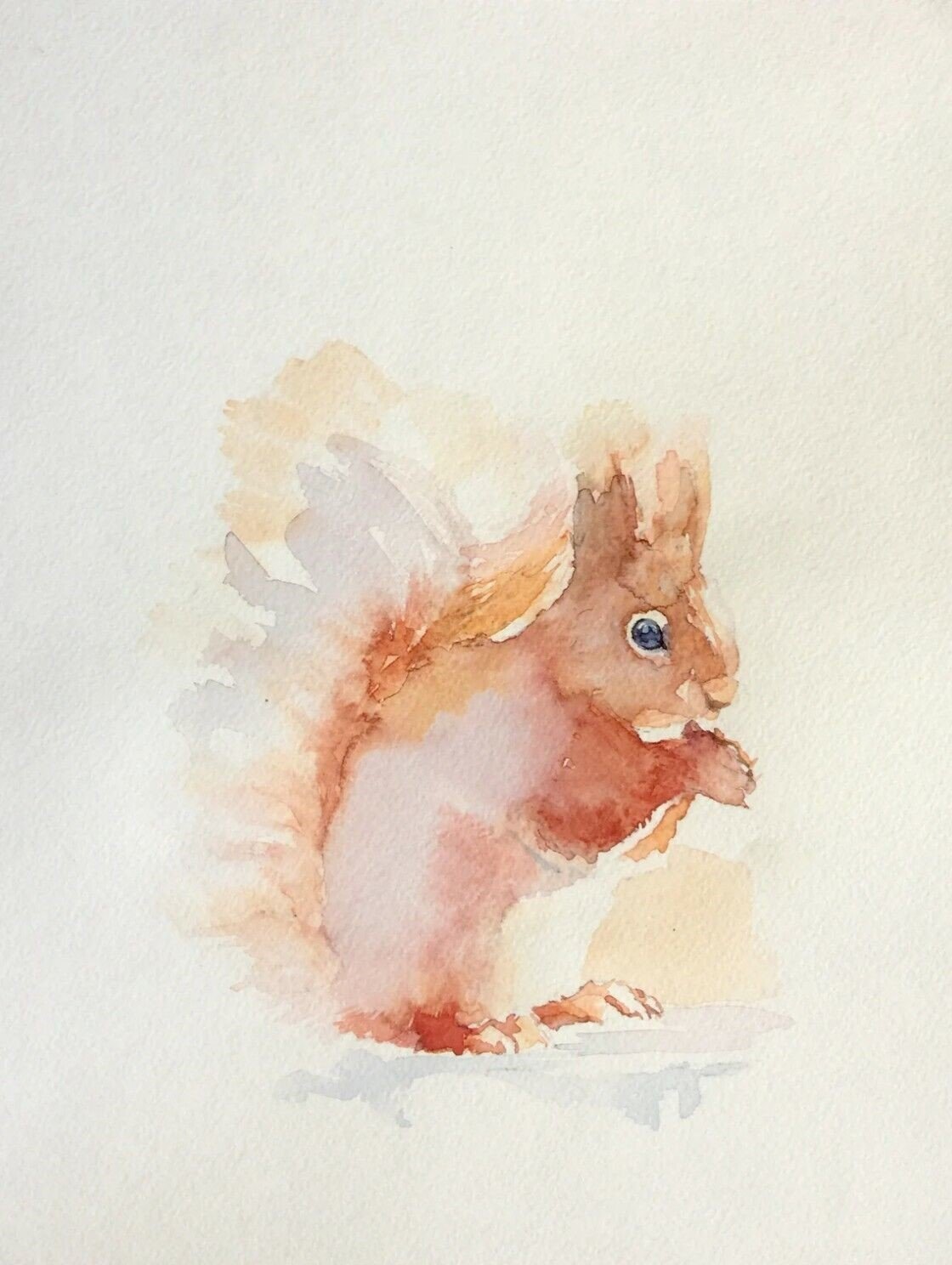 Tetování veverka - VeAn Czech